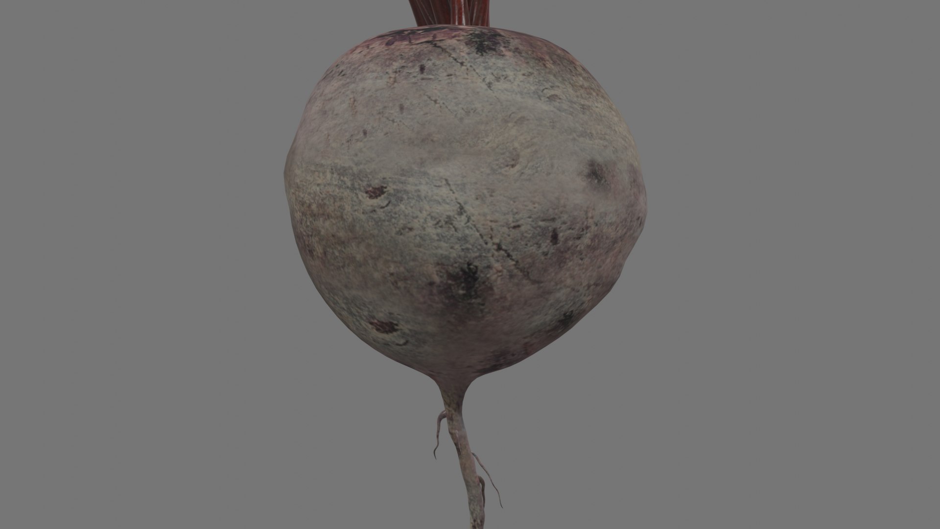 3D Beetroot Model - TurboSquid 2025393