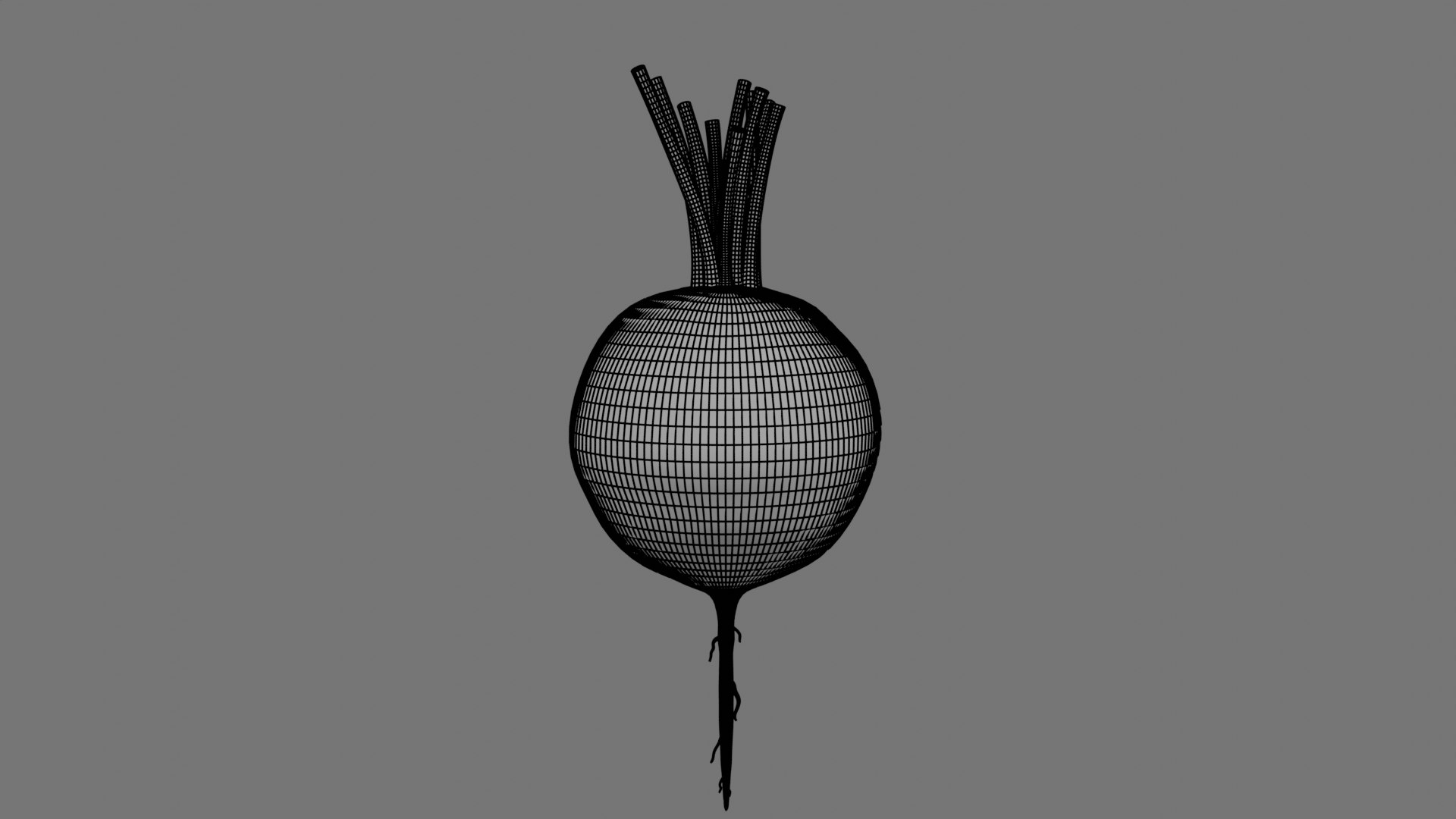 3D Beetroot Model - TurboSquid 2025393