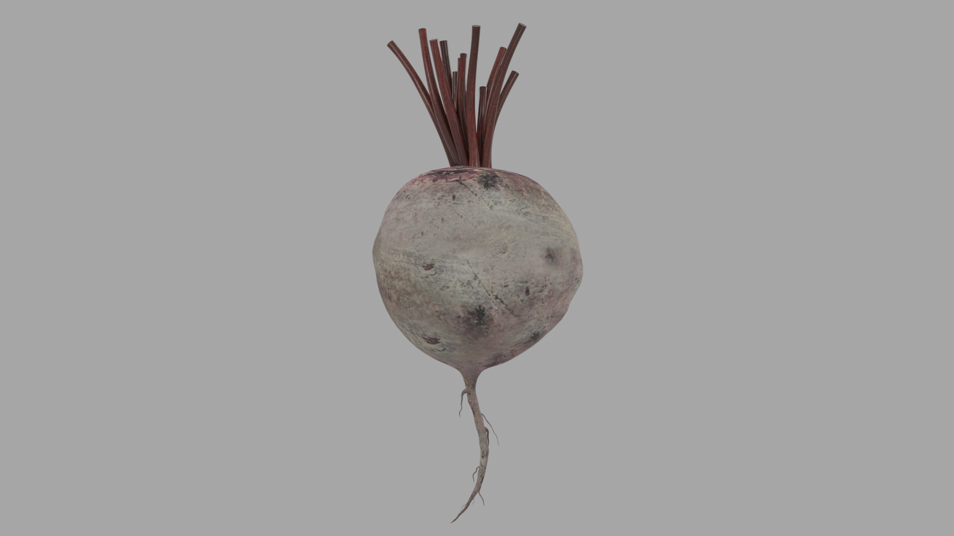 3D Beetroot Model - TurboSquid 2025393