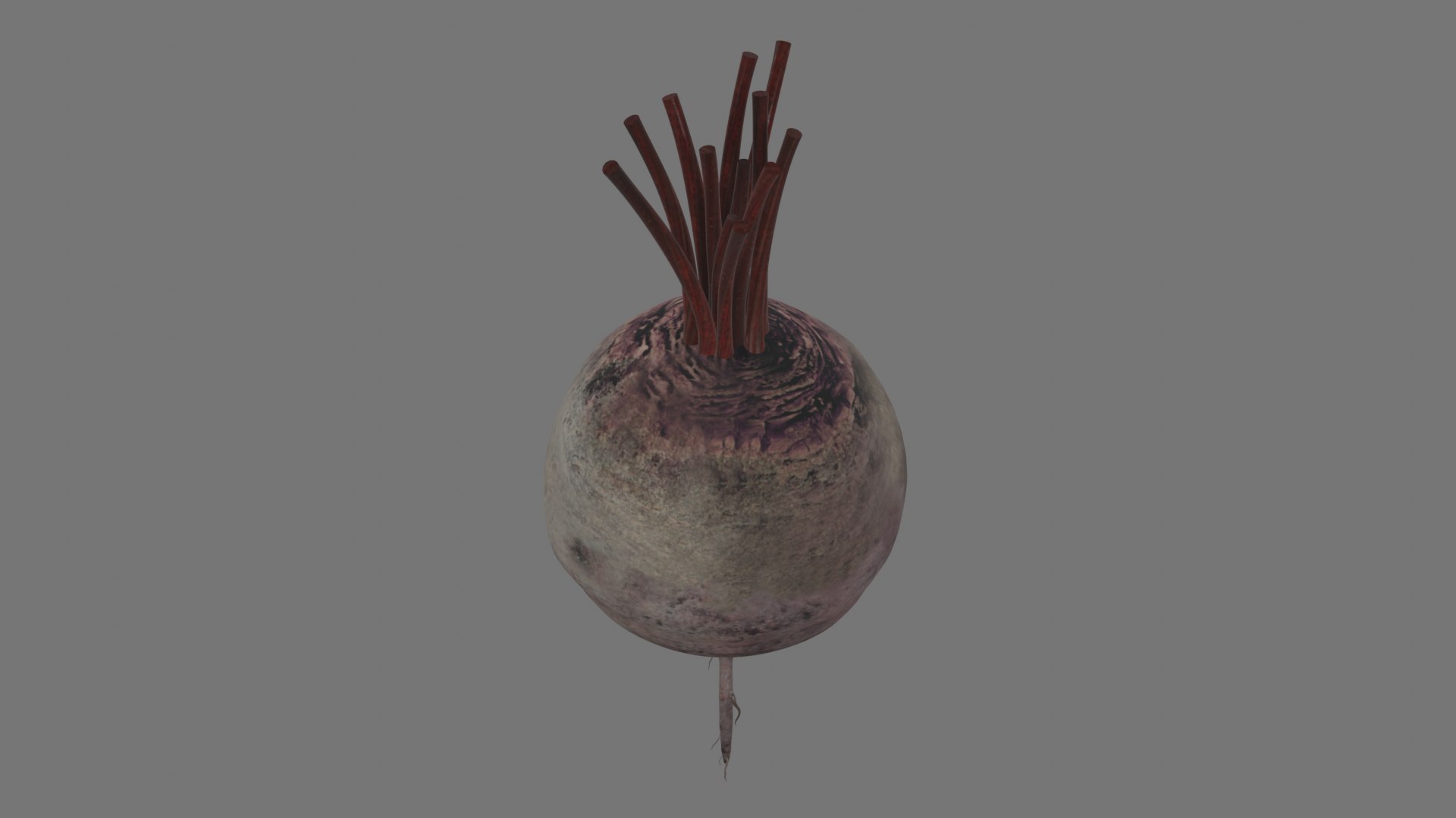 3D Beetroot Model - TurboSquid 2025393