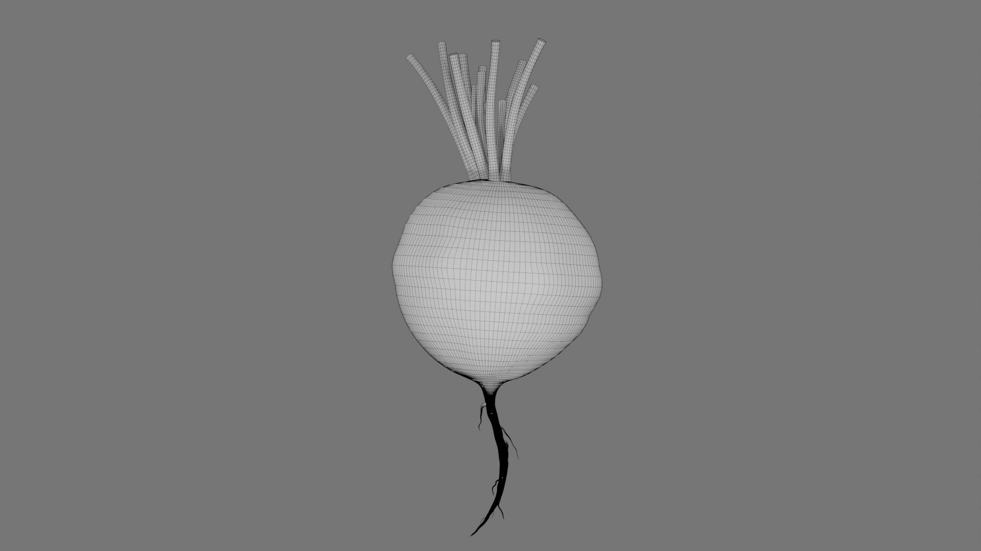 3D Beetroot Model - TurboSquid 2025393