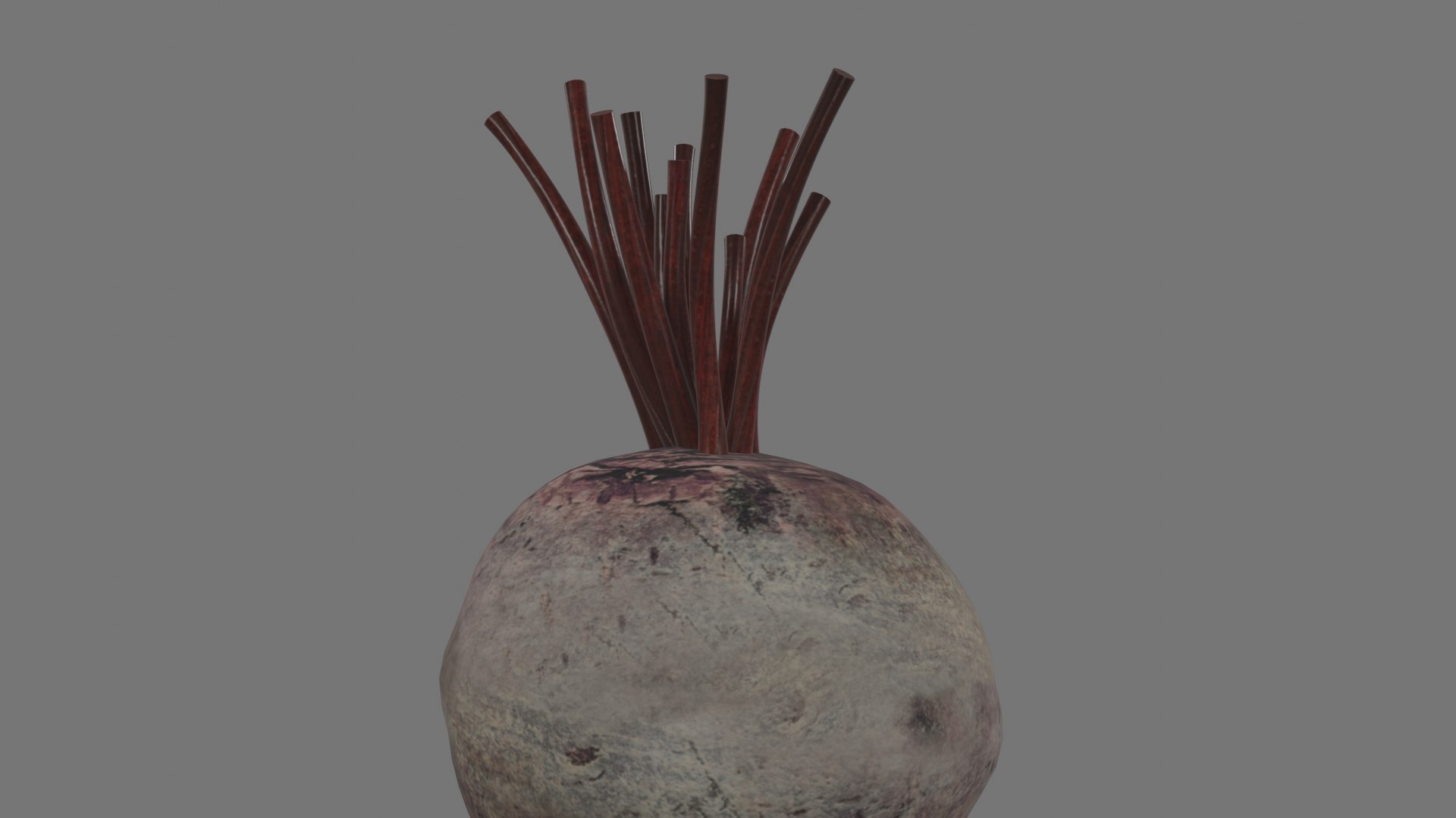 3D Beetroot Model - TurboSquid 2025393
