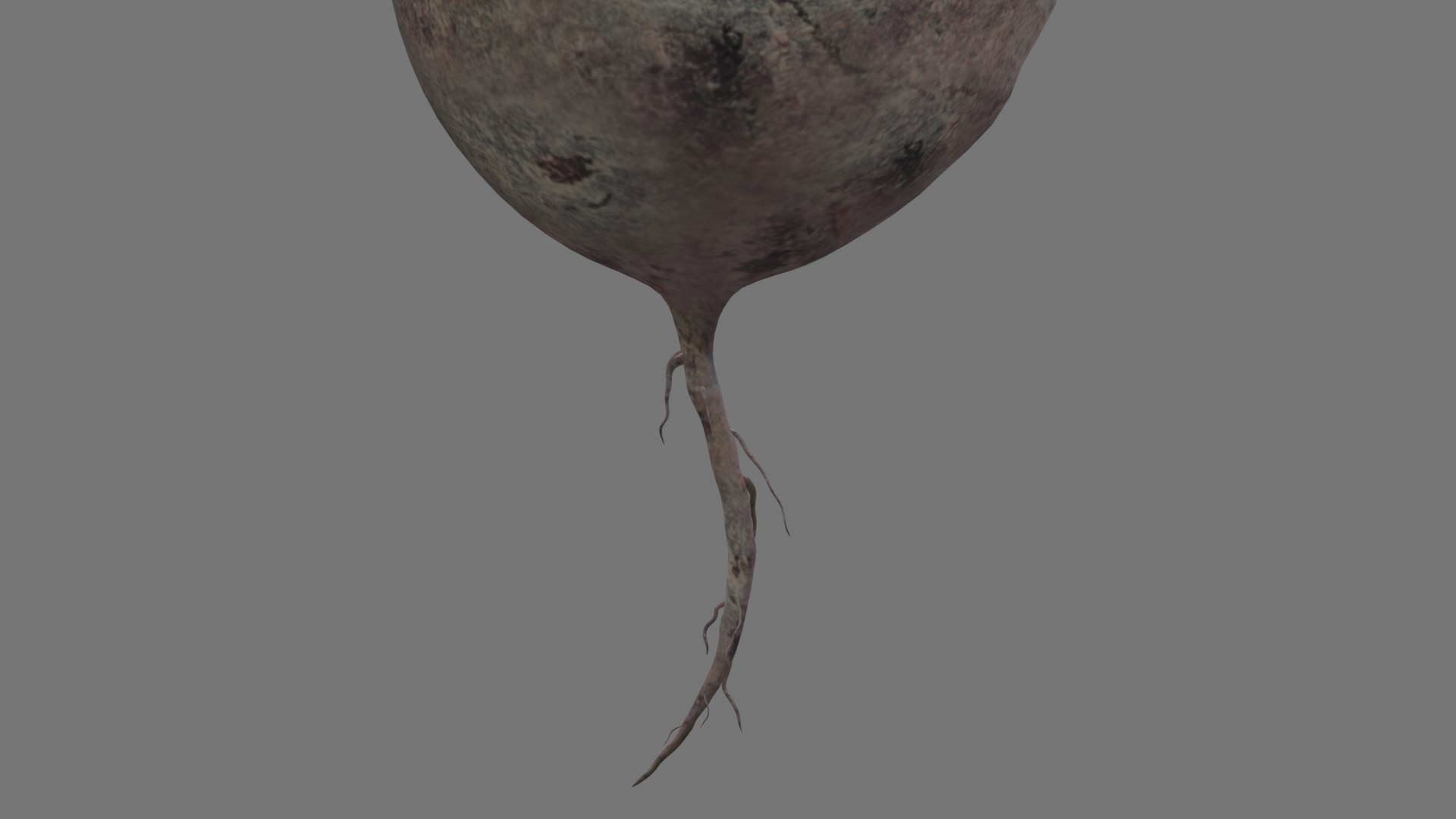 3D Beetroot Model - TurboSquid 2025393