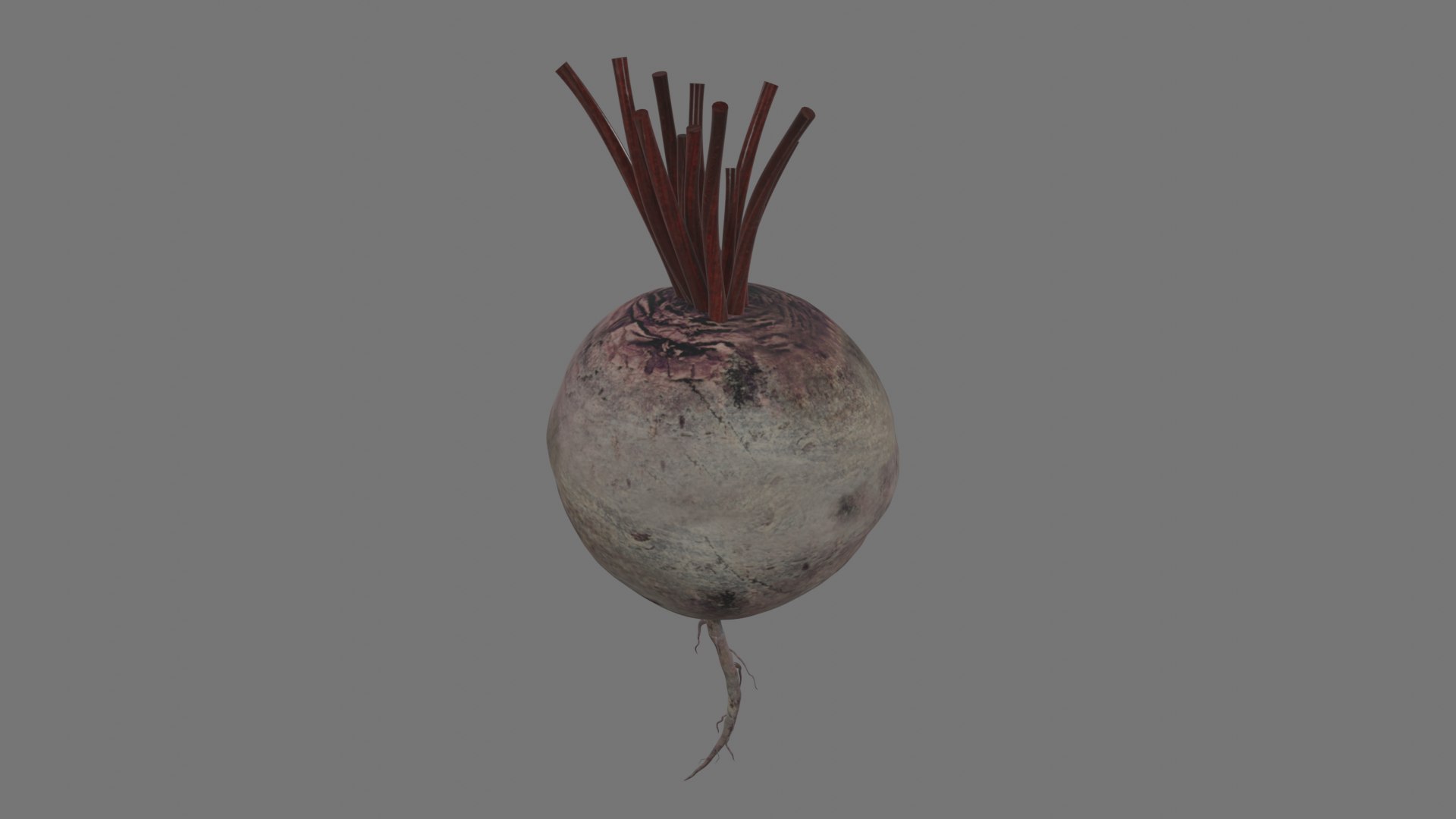 3D Beetroot Model - TurboSquid 2025393
