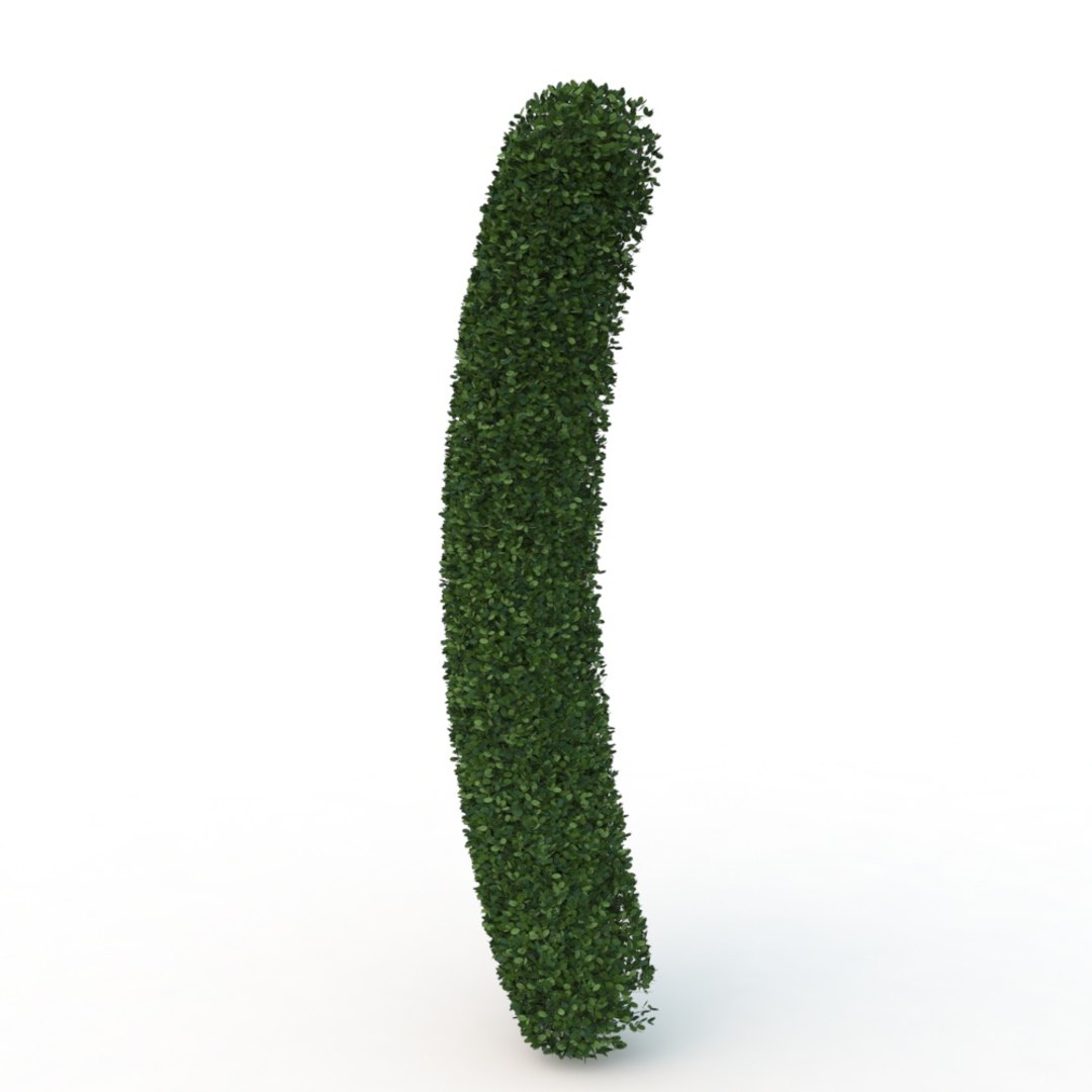 3D Shaped Hedge Model - TurboSquid 1453109