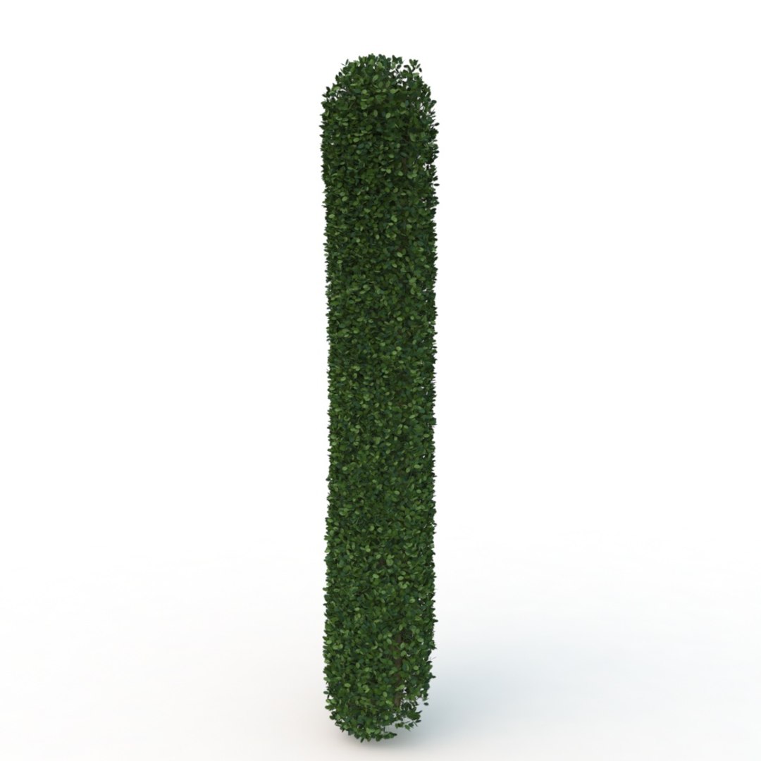3D Shaped Hedge Model - TurboSquid 1453109