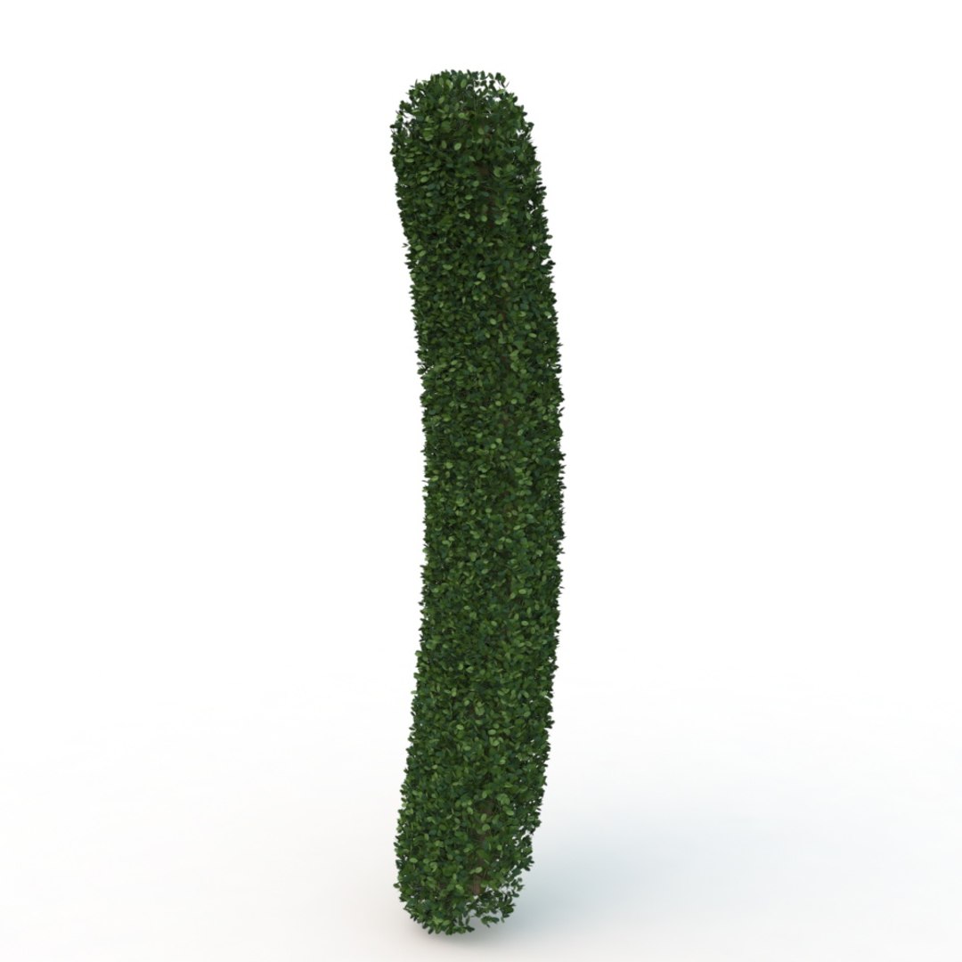 3D Shaped Hedge Model - TurboSquid 1453109