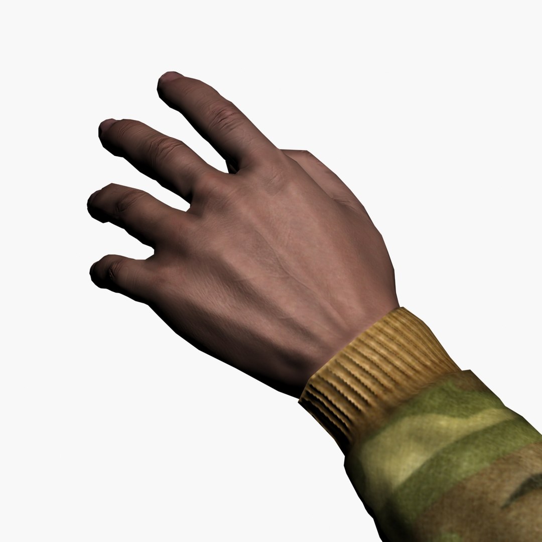 Ready Rigged Fps Hands Max