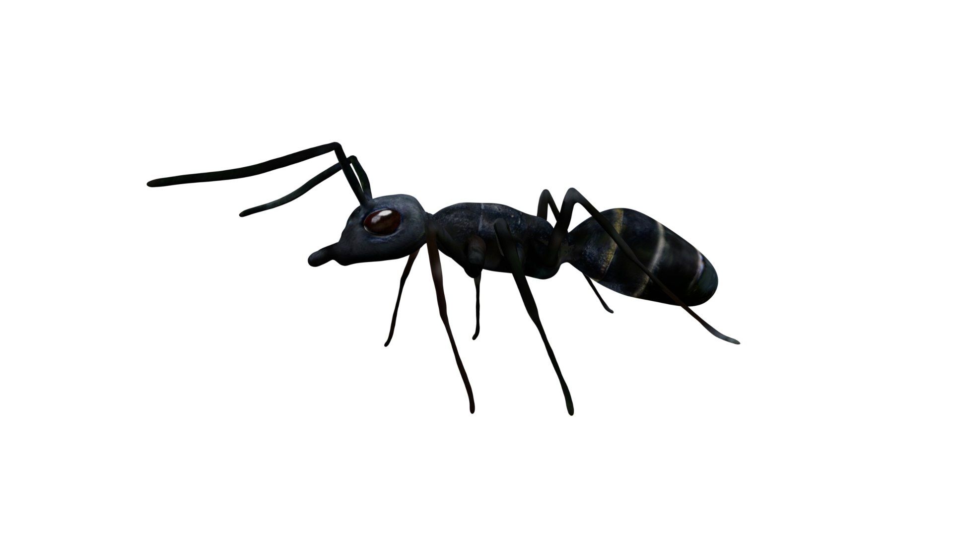 3D fully rigged low poly bullet ant - TurboSquid 1758189