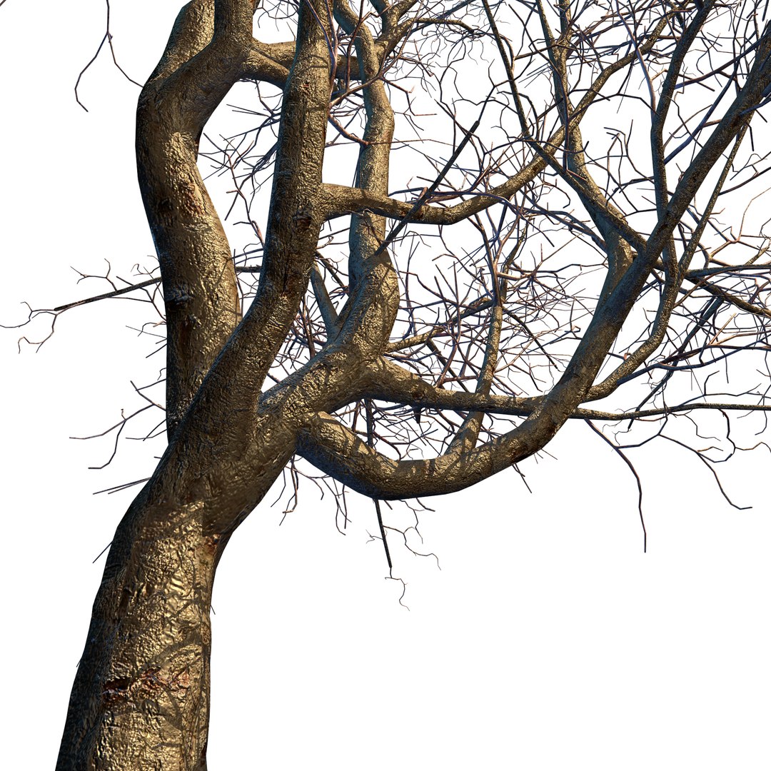 3D Tree Trunk Model - TurboSquid 1207685