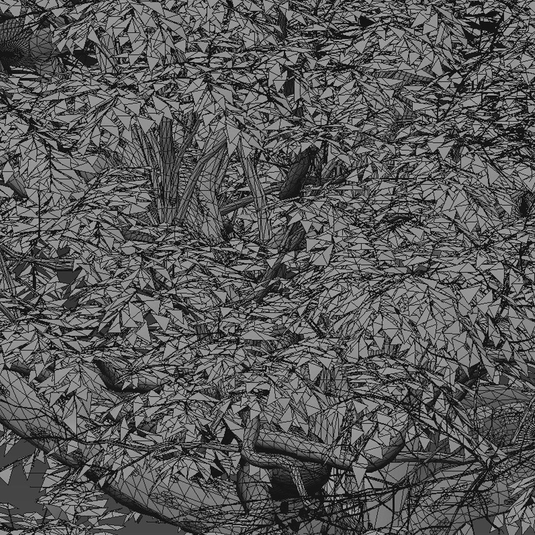 Set Of Acacia Tortilis Or Vachellia Tortilis Tree- 2 Trees 3D Model ...