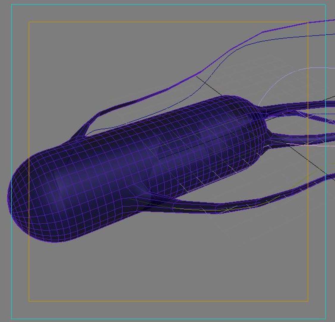 Peritrichous Bacteria 3d Model