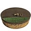 3d Model Diorama Crop Field