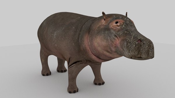 hippo 3d 3ds