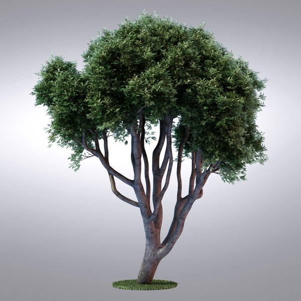 hi realistic series tree 3d model