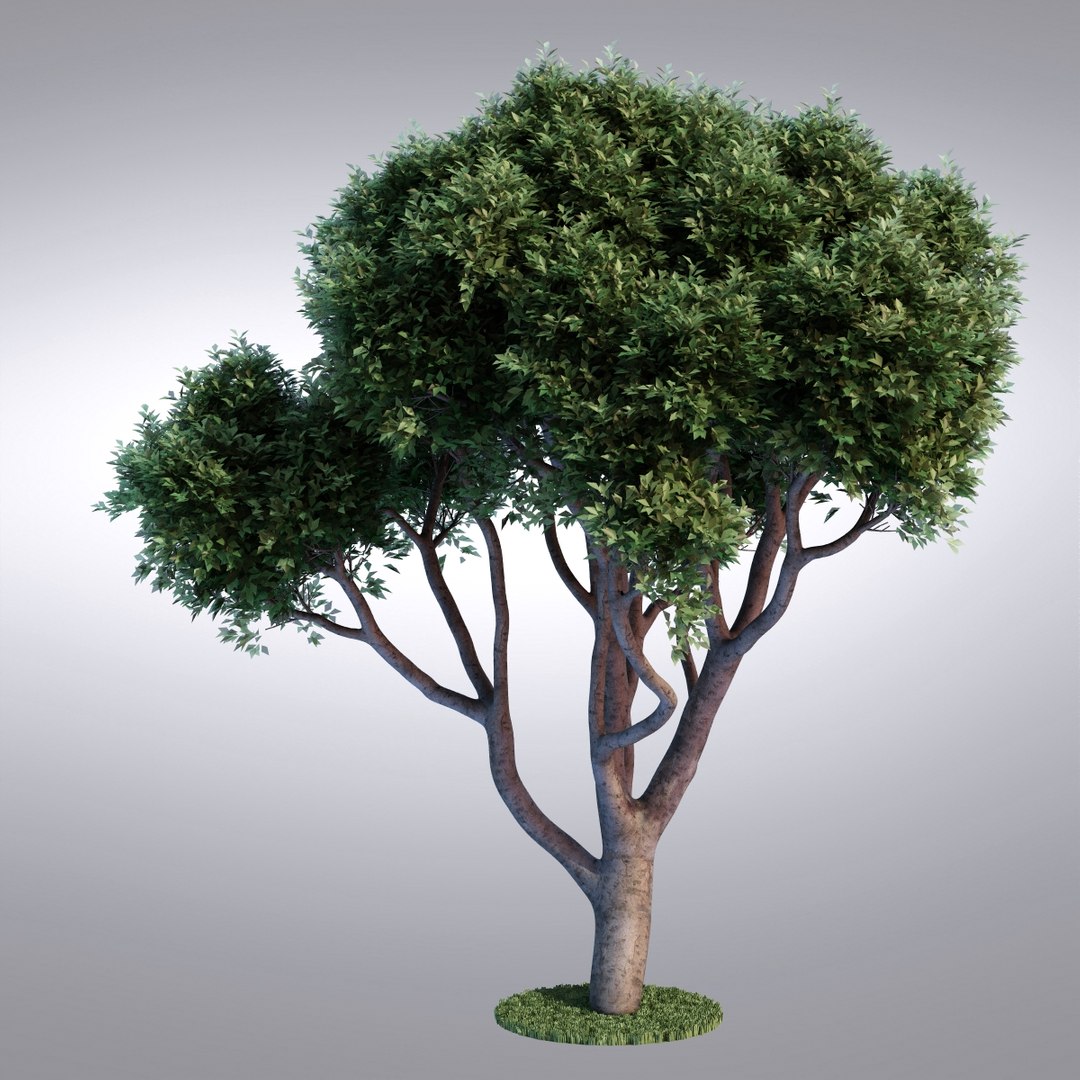 Max Hi Realistic Series Tree