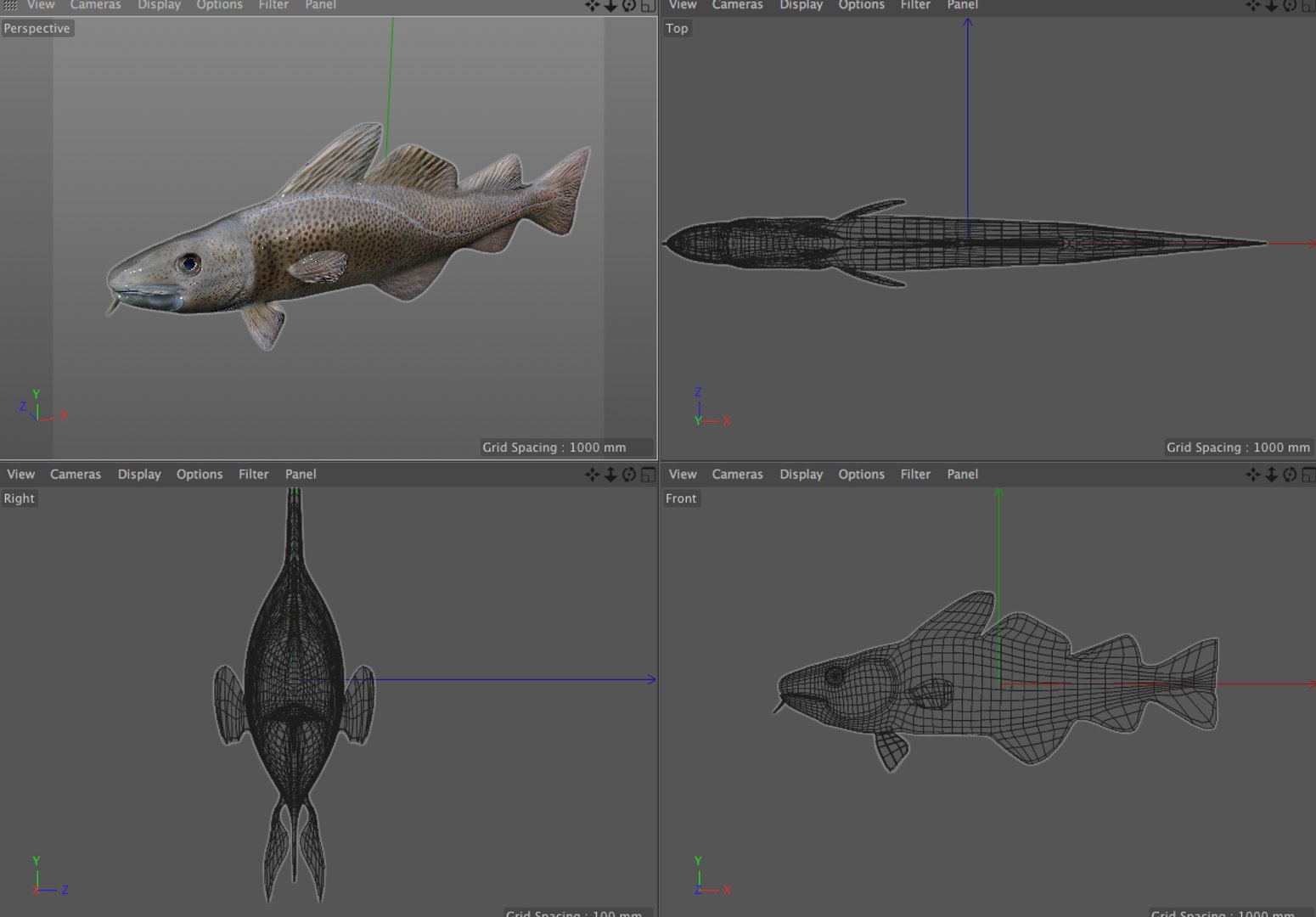 Fish 3D - TurboSquid 1551940
