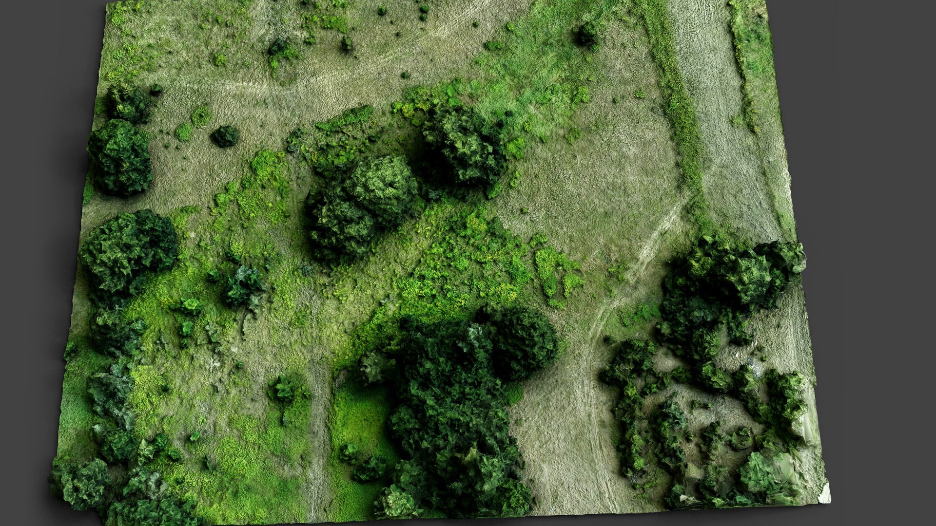 Trees Terrain Area Pt4 Lowpoly Drone Photogrammetry 3D - TurboSquid 2338732