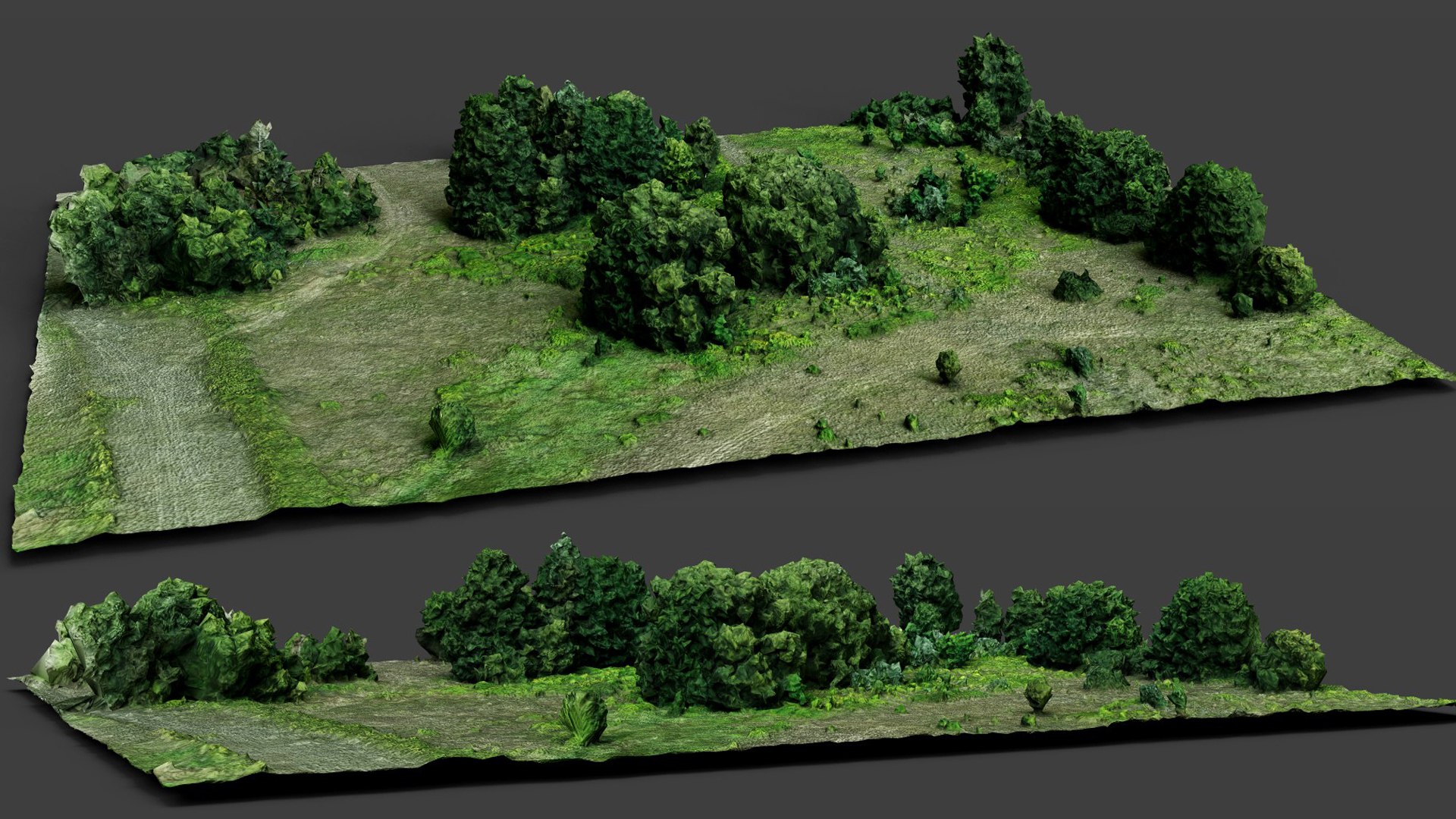 Trees Terrain Area Pt4 Lowpoly Drone Photogrammetry 3D - TurboSquid 2338732