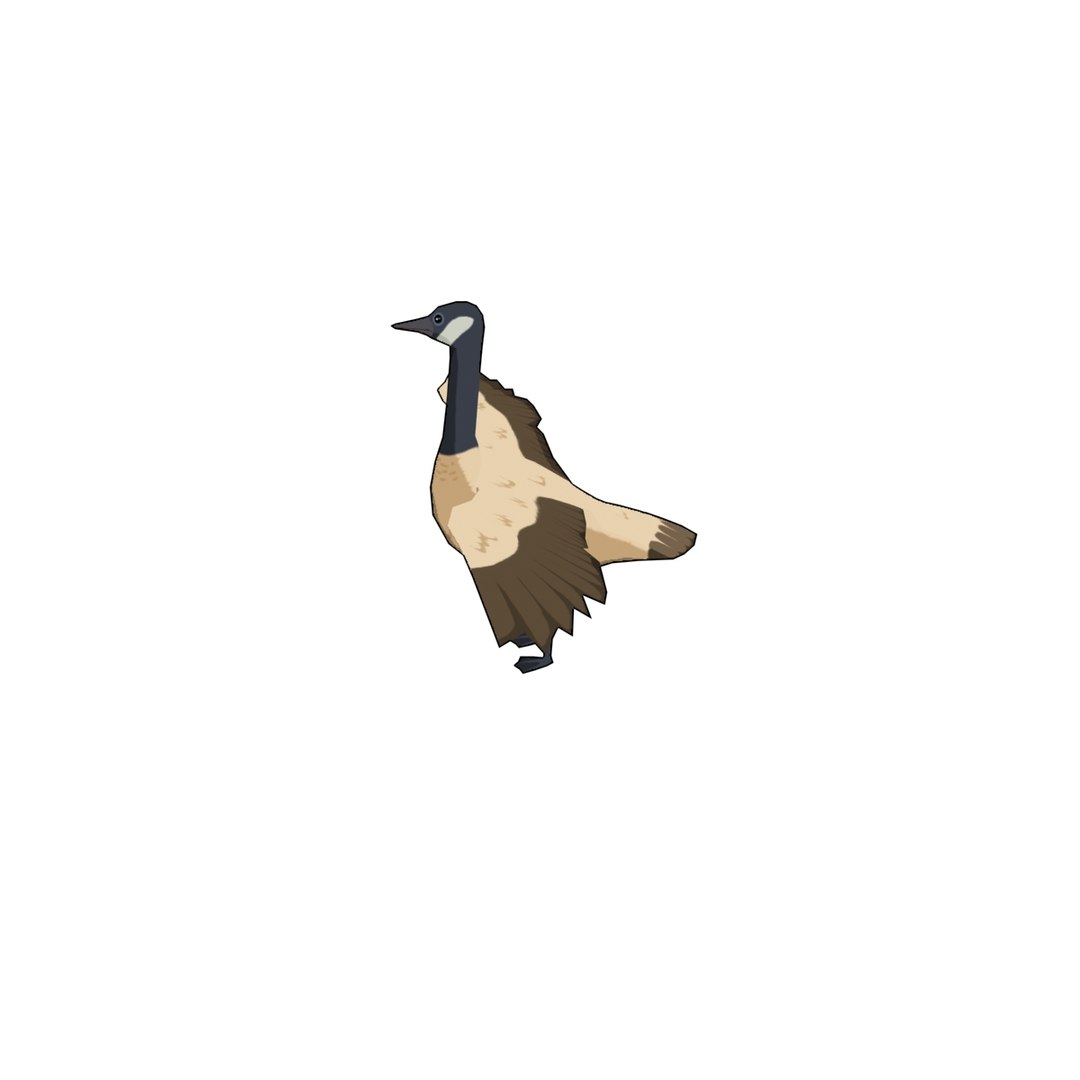 3D Ploygon Wildgoose Model - TurboSquid 1152619