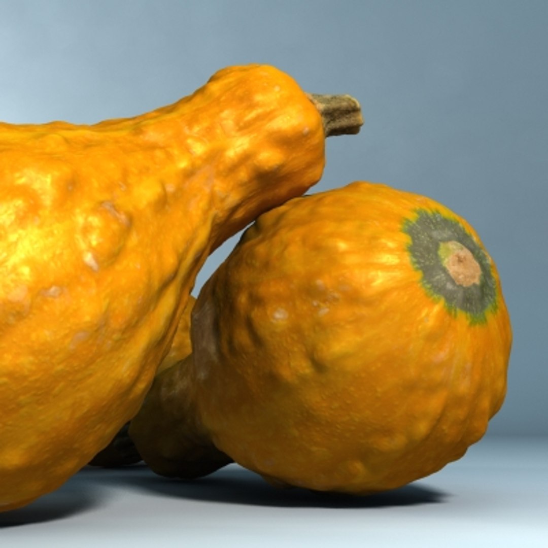 3d Gourd Res Model