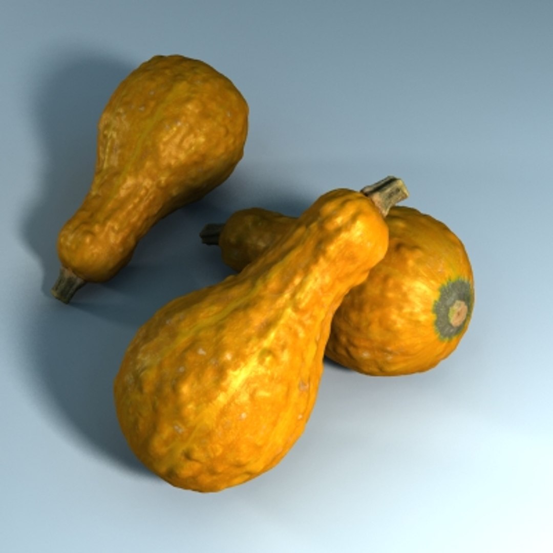 3d Gourd Res Model