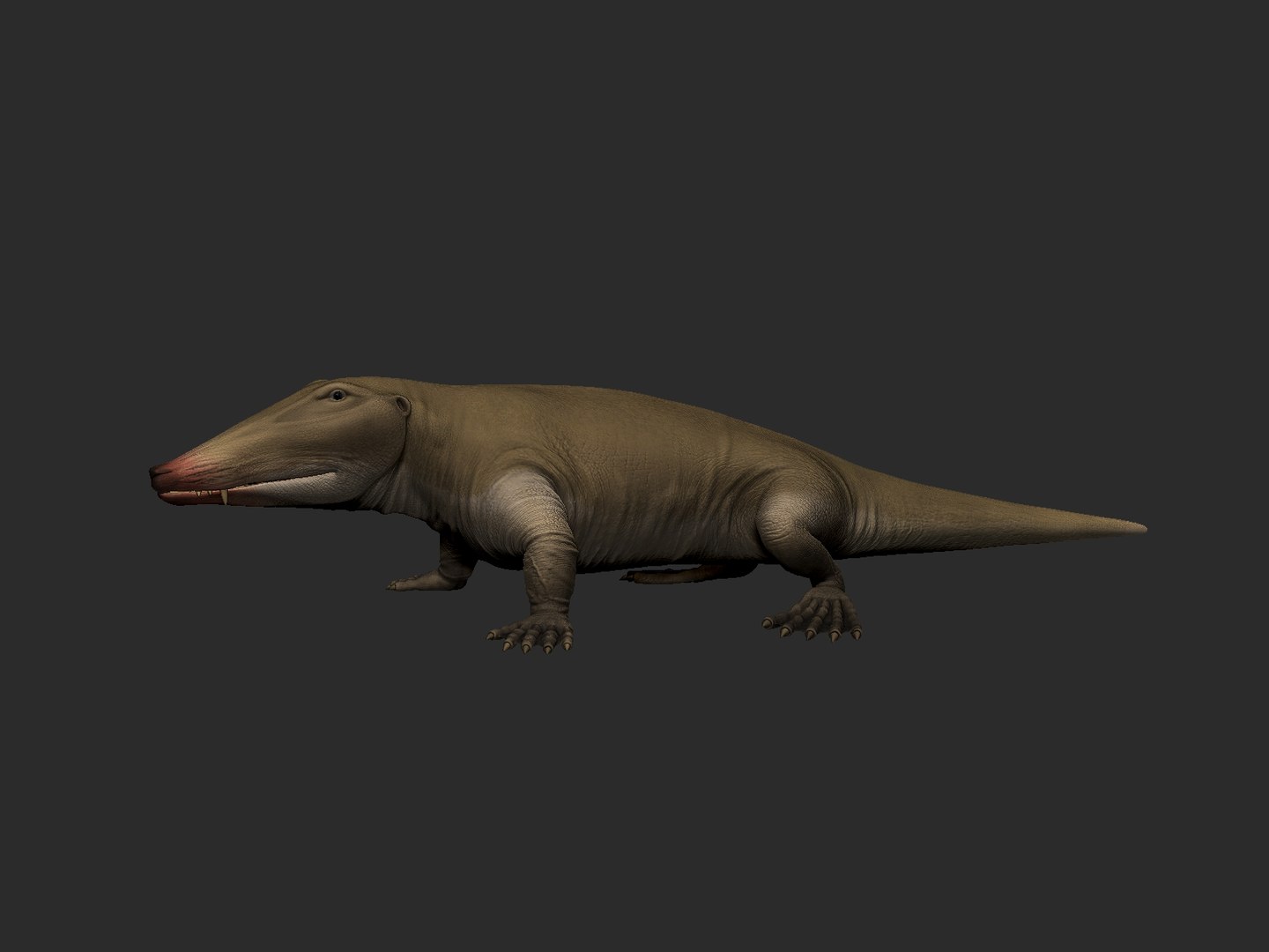 3D Ambulocetus Model - TurboSquid 1227647