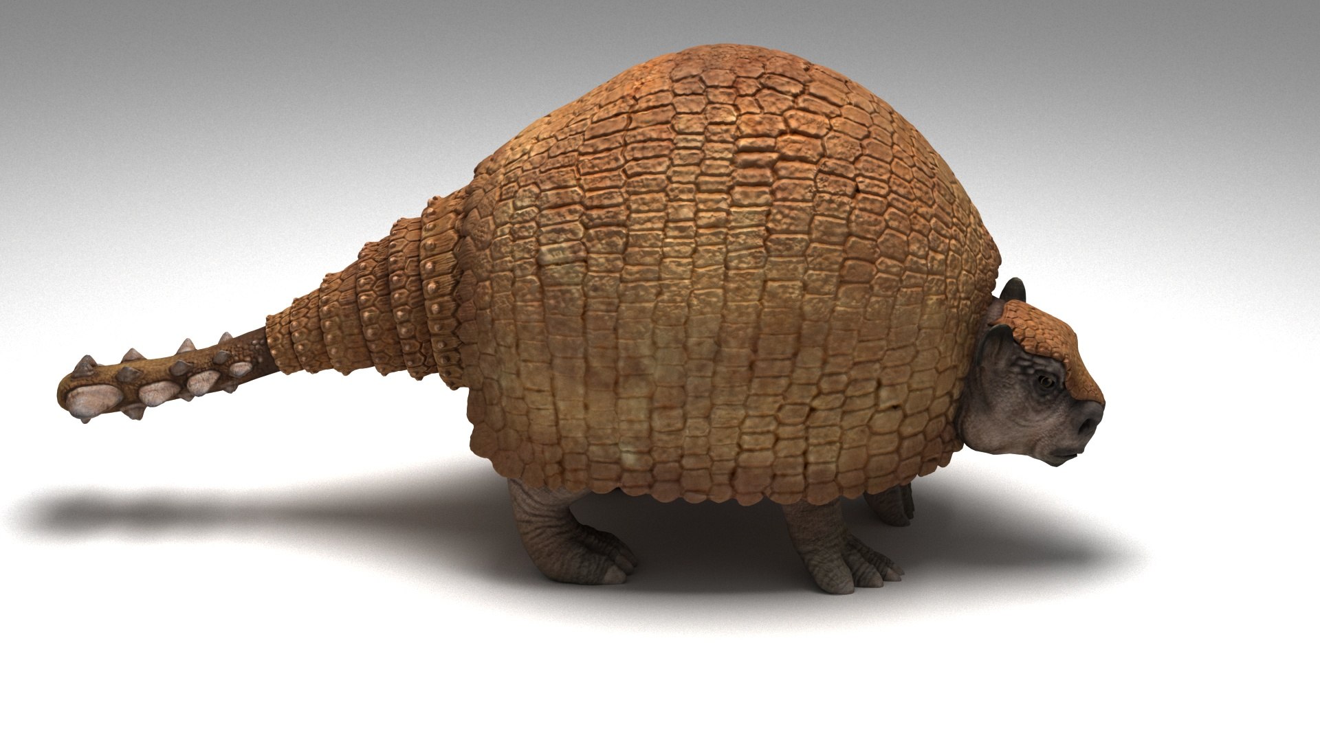 Panochthus Extinct Ice Model - TurboSquid 1299932