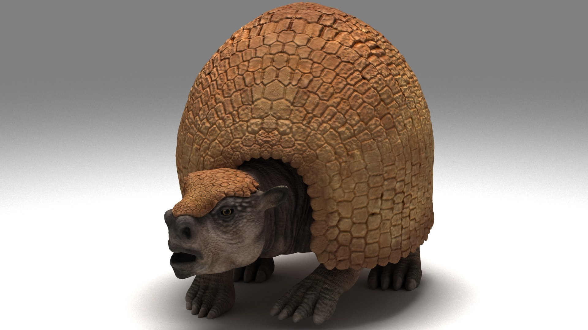 Panochthus Extinct Ice Model - TurboSquid 1299932