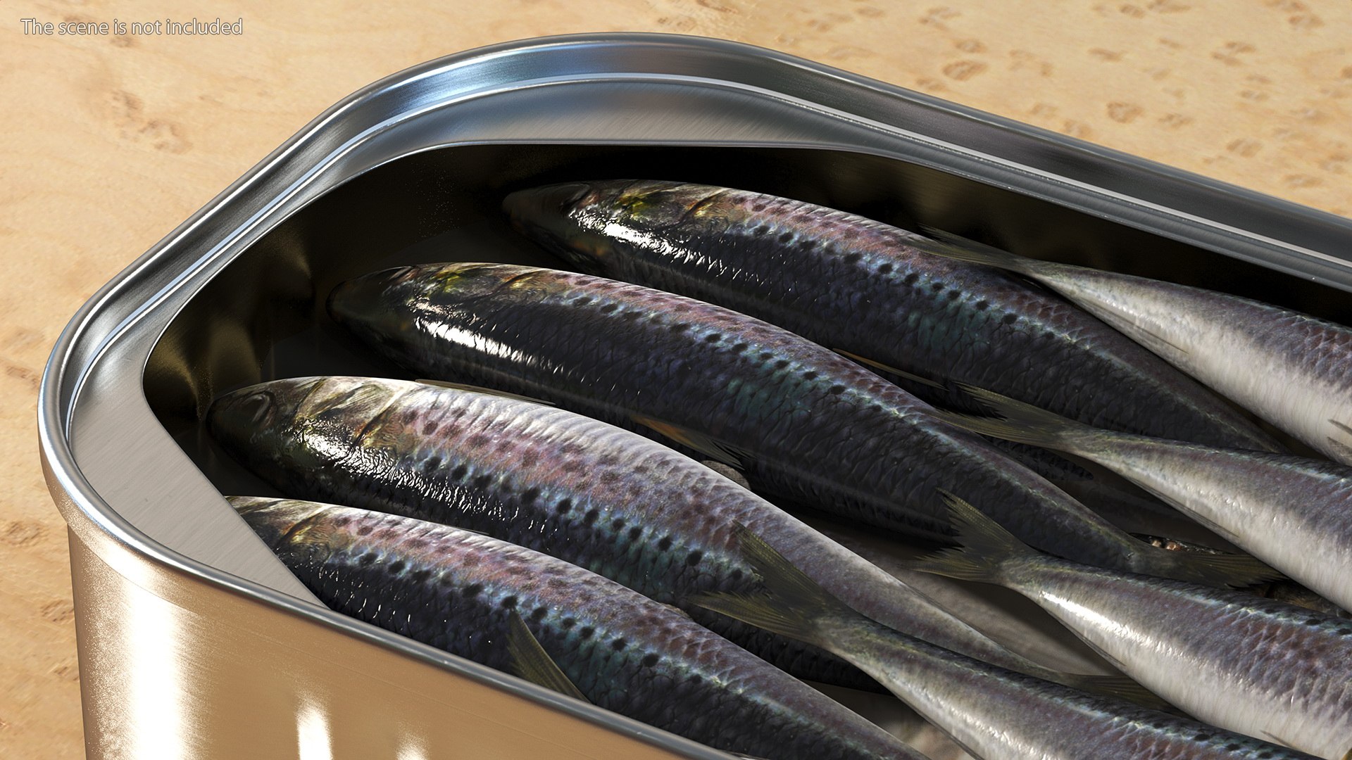 Canned Sardine Opened With Twist Key 3D Model - TurboSquid 1816844