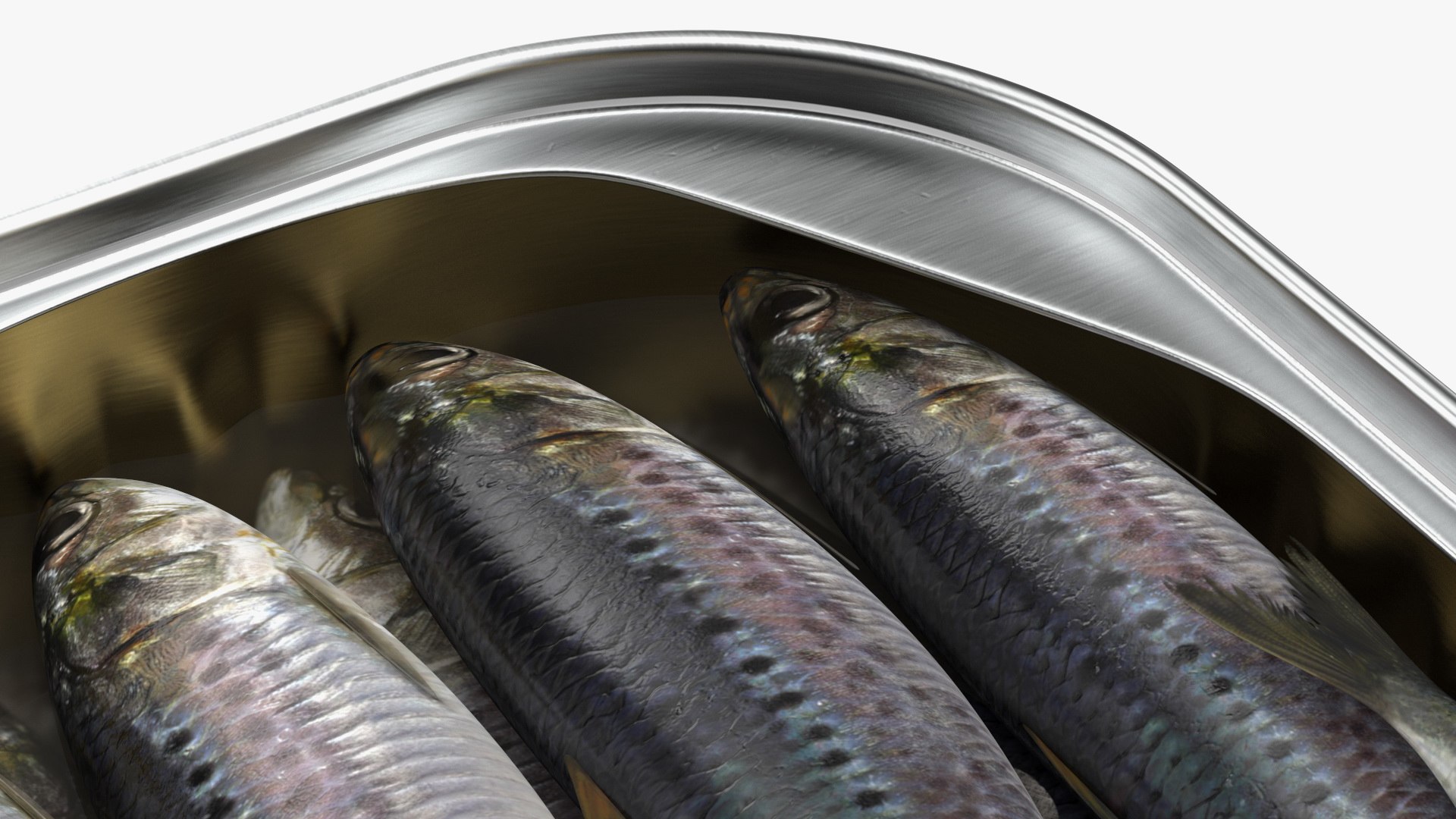Canned Sardine Opened with Twist Key 3D model - TurboSquid 1816844