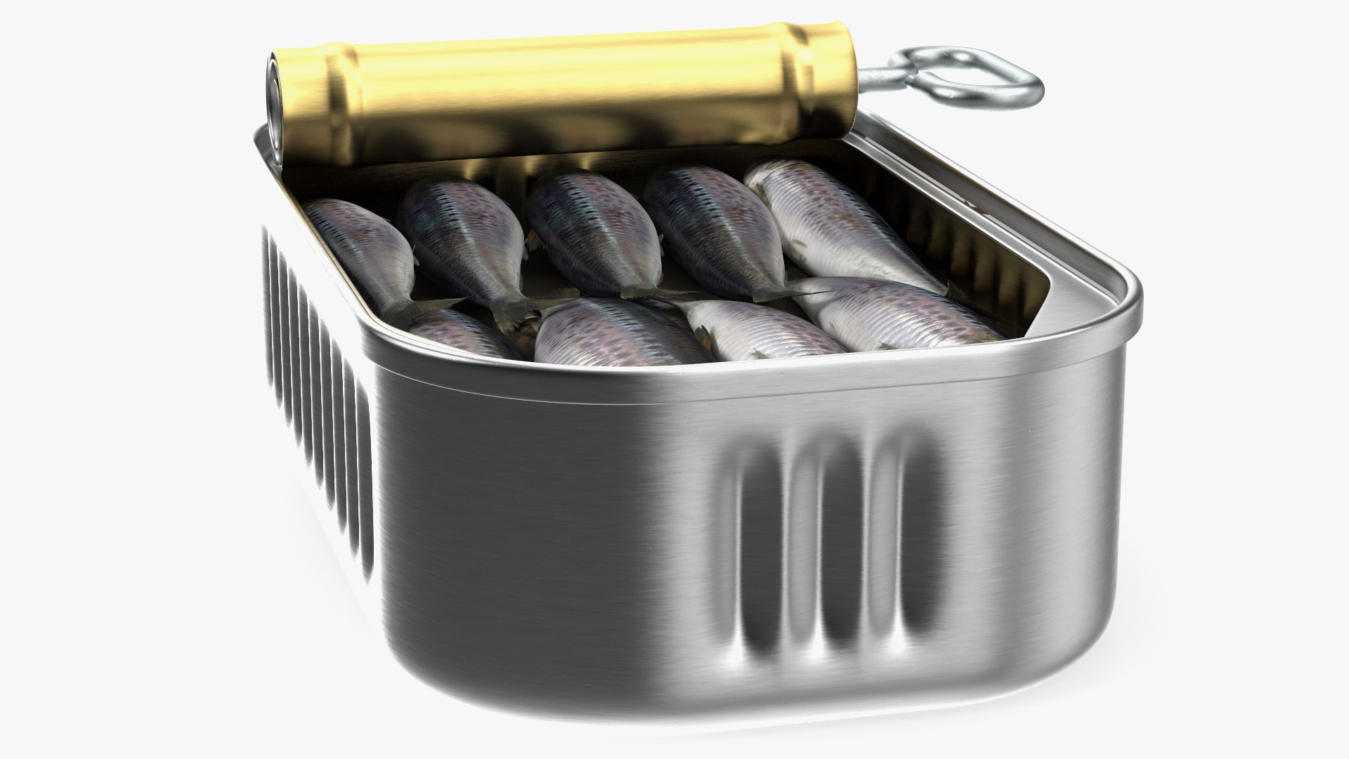 Canned Sardine Opened with Twist Key 3D model - TurboSquid 1816844