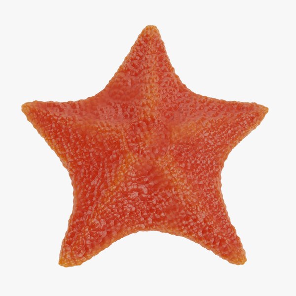 3D model base cirrhatus - TurboSquid 1496342