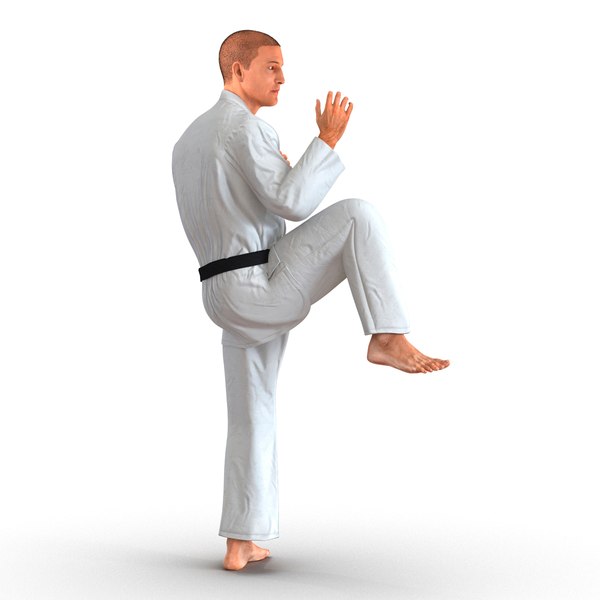3d model karate fighter pose 3