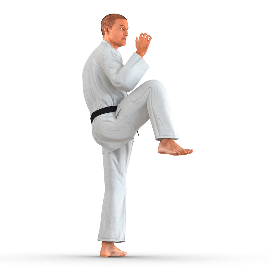 3d model karate fighter pose 3
