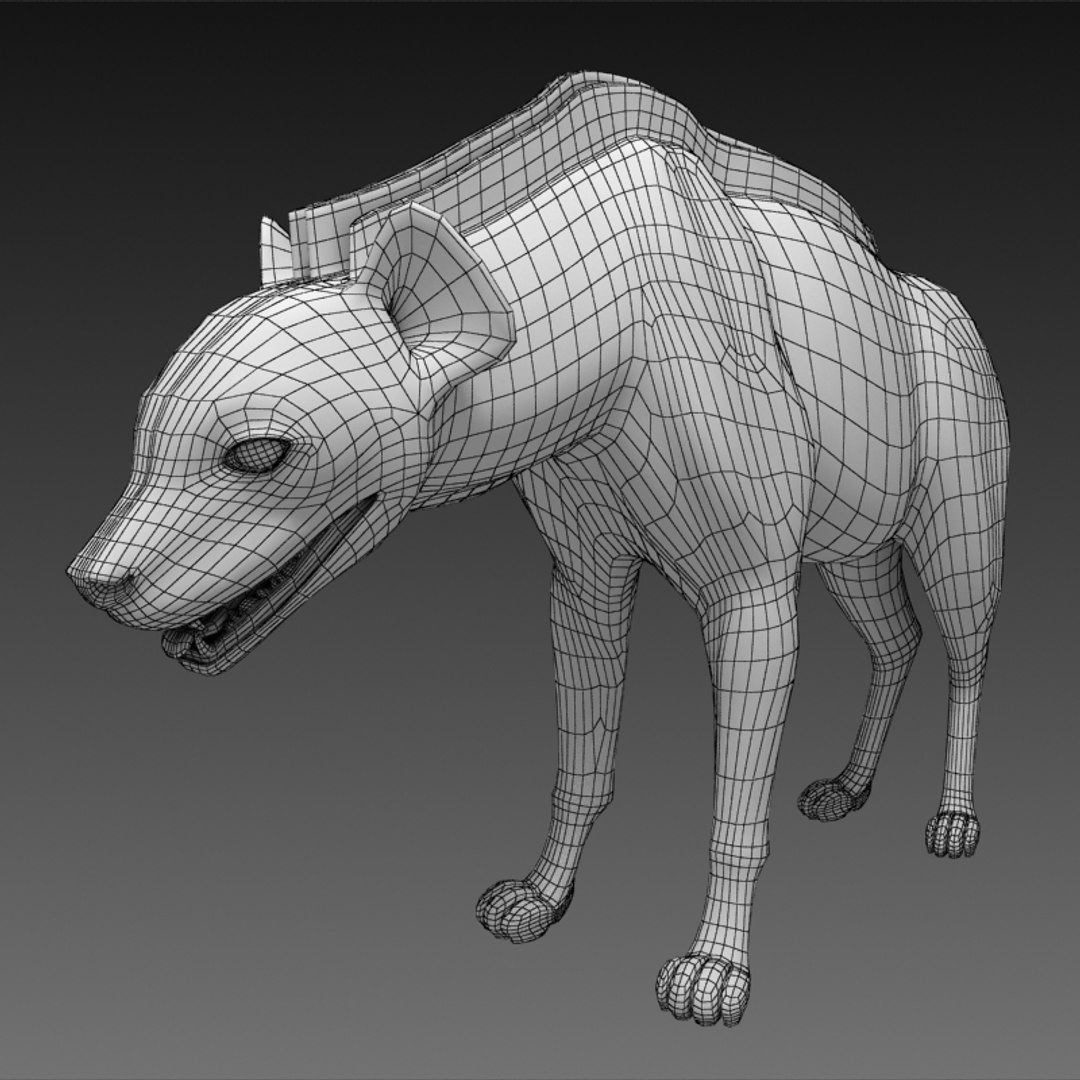 Spotted Hyena 3d Model