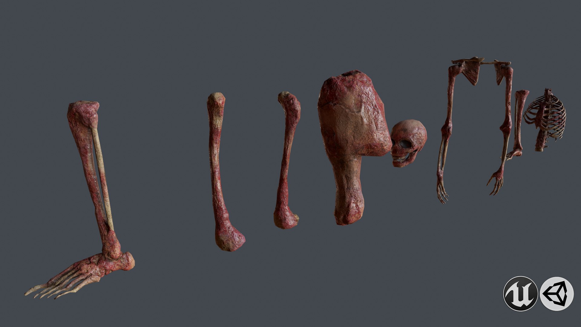 Bone Animal 3D Model - TurboSquid 1375811