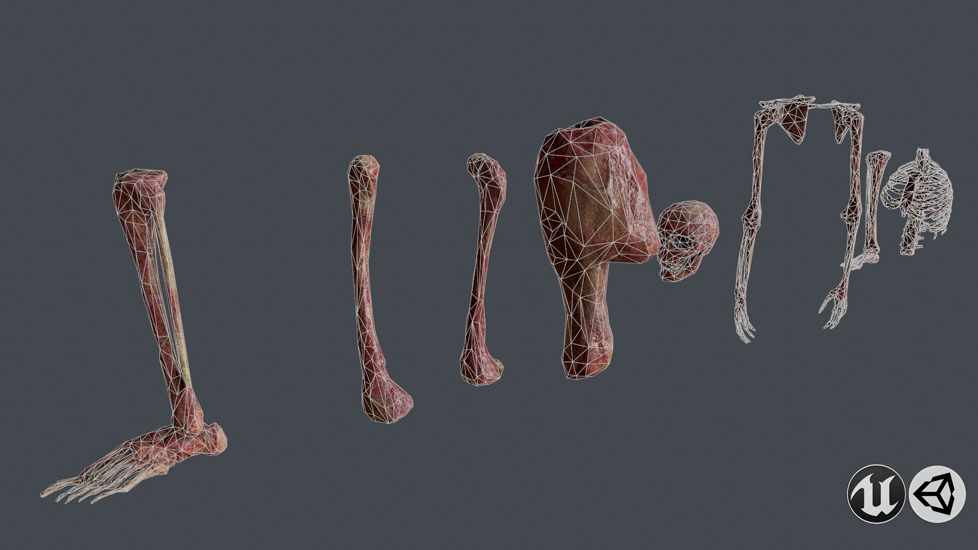 Bone Animal 3D Model - TurboSquid 1375811