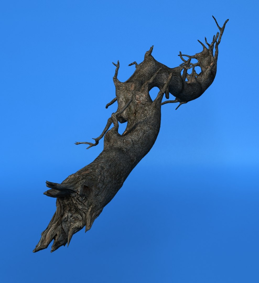 3d Model Old Tree