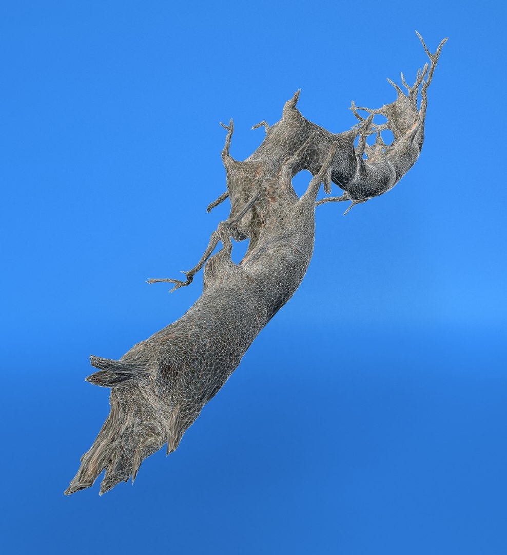 3d Model Old Tree