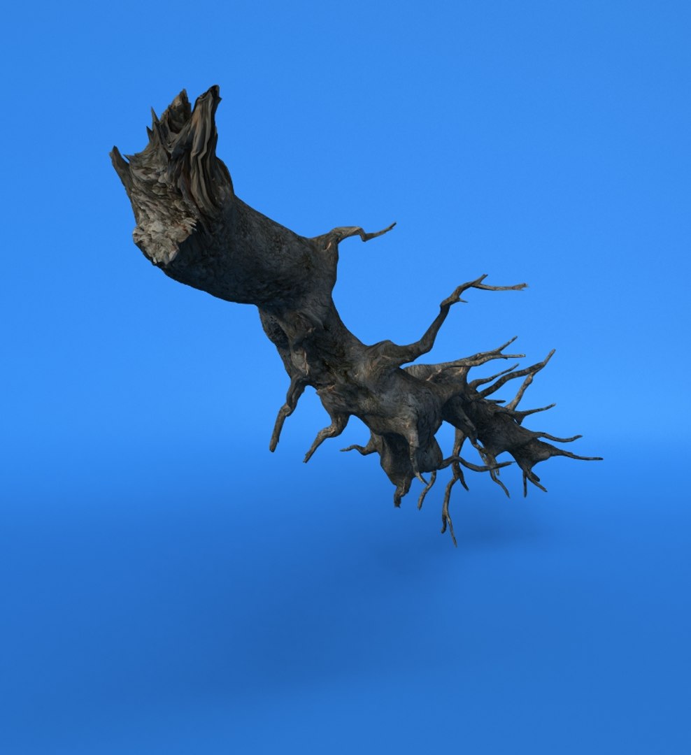3d Model Old Tree