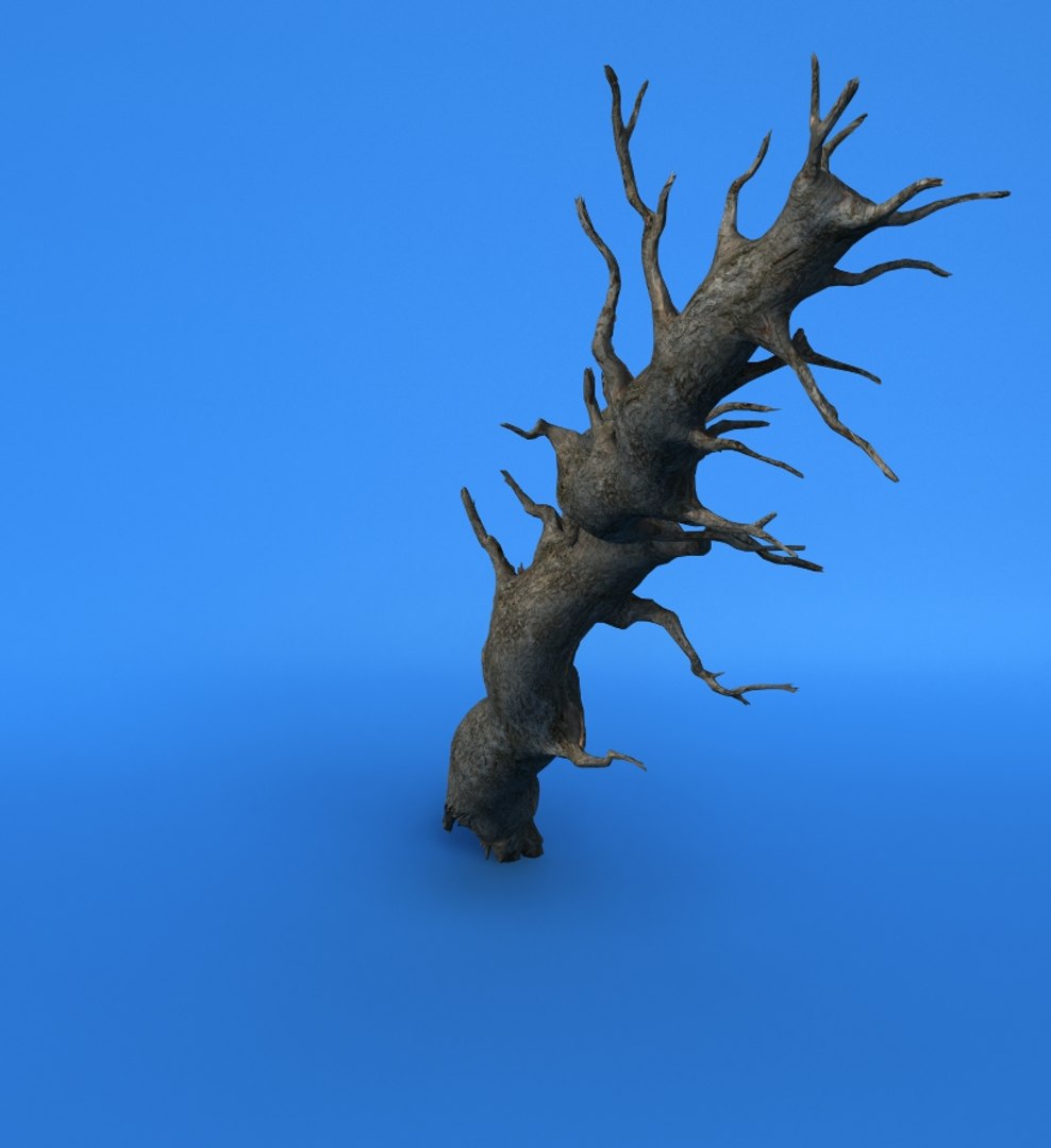 3d Model Old Tree
