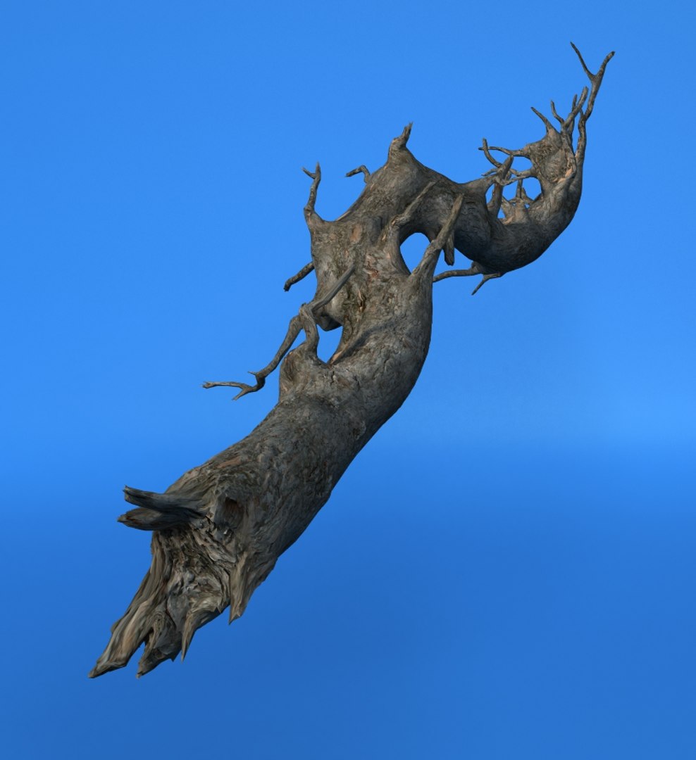 3d Model Old Tree
