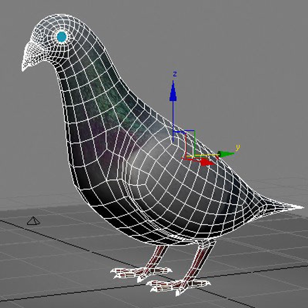 3d 3ds Pigeon