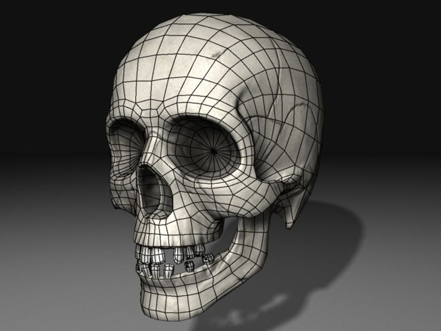 Nextgen Skull 3d Model