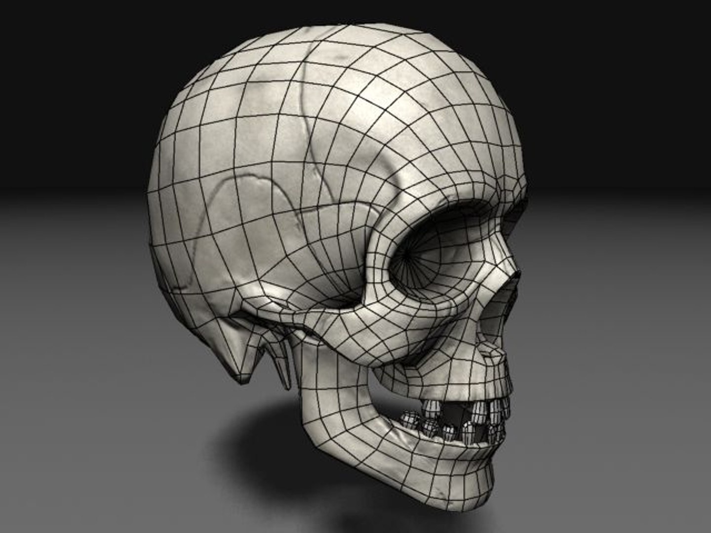 Nextgen Skull 3d Model