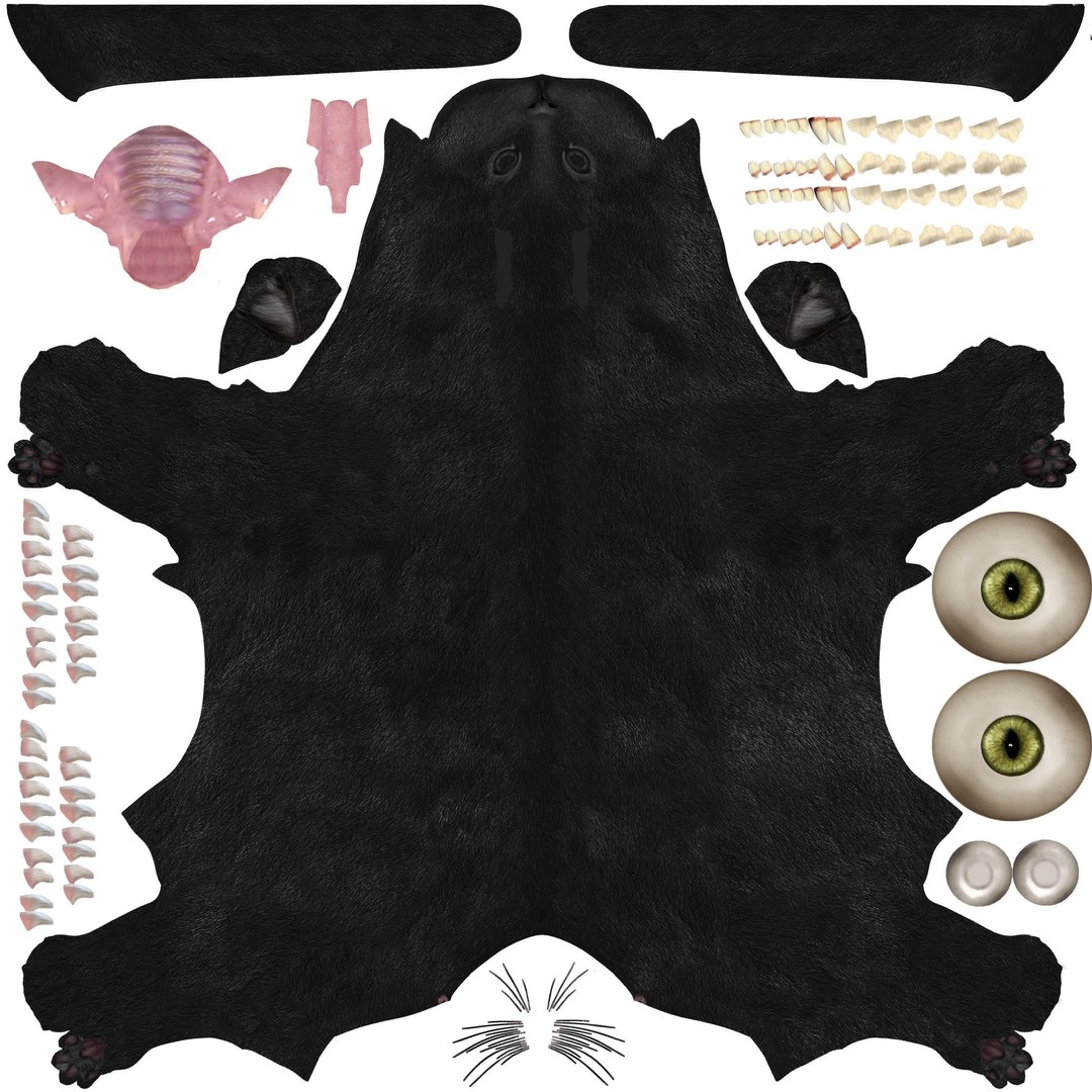 Black Cat Model - TurboSquid 2368855