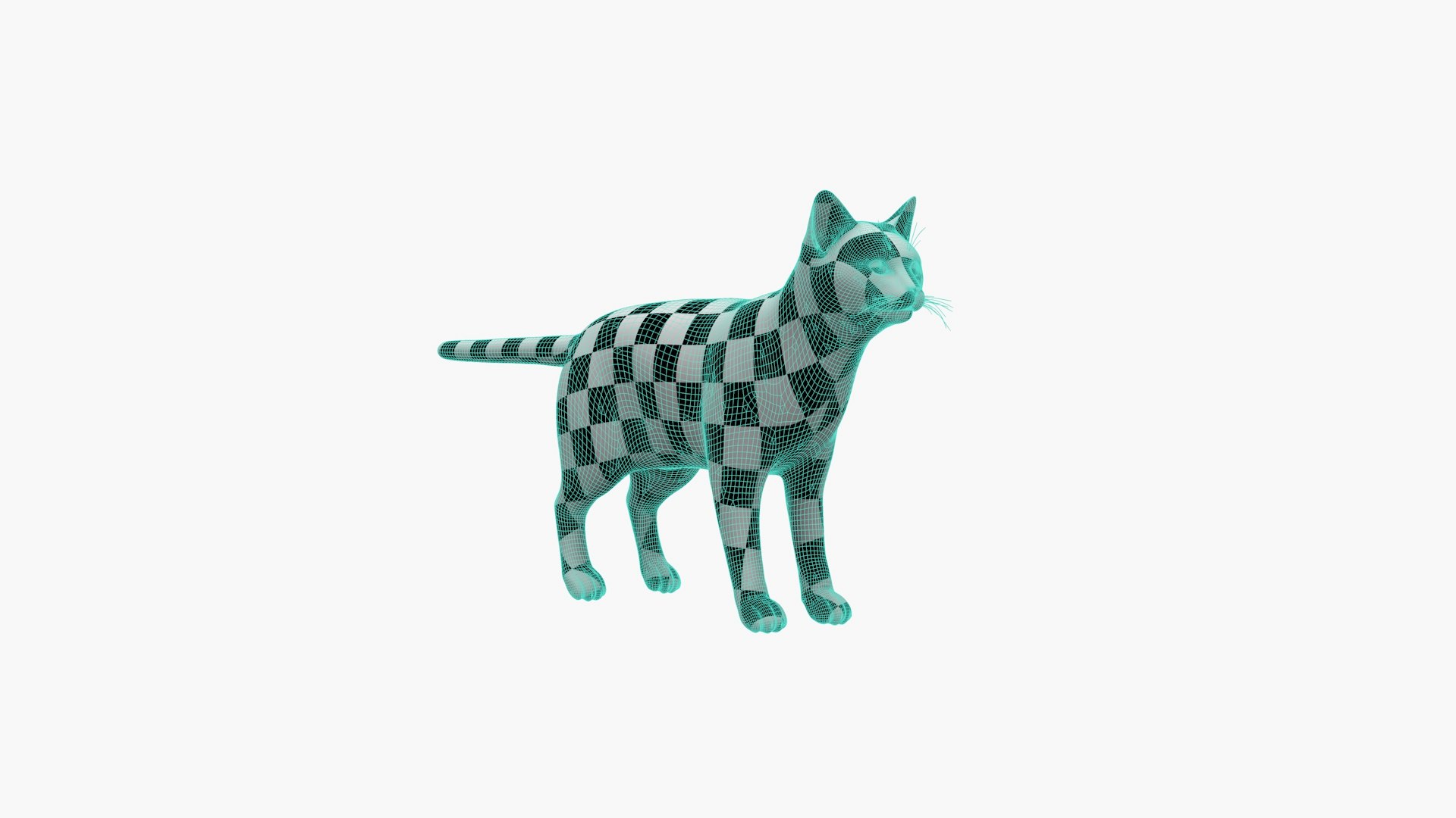 Black Cat Model - TurboSquid 2368855