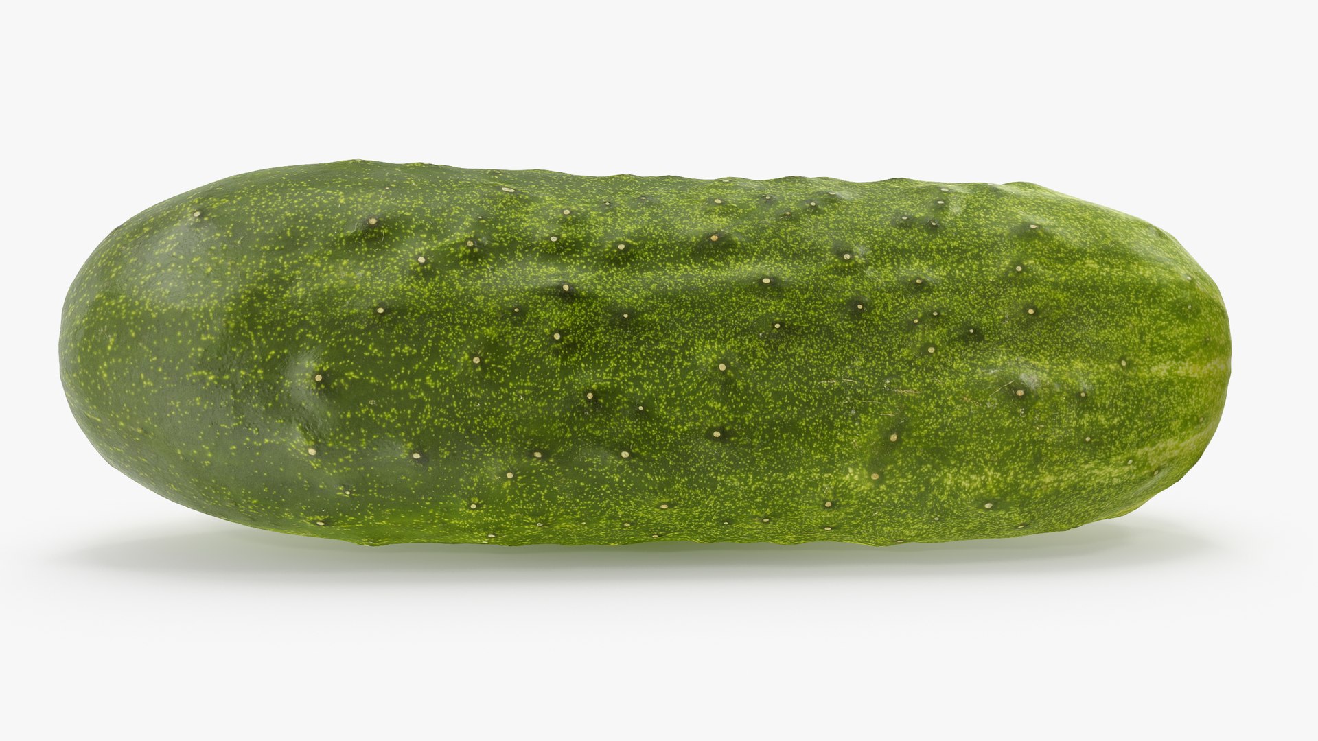 3D Cucumber 05 Hi Polys - TurboSquid 1467857