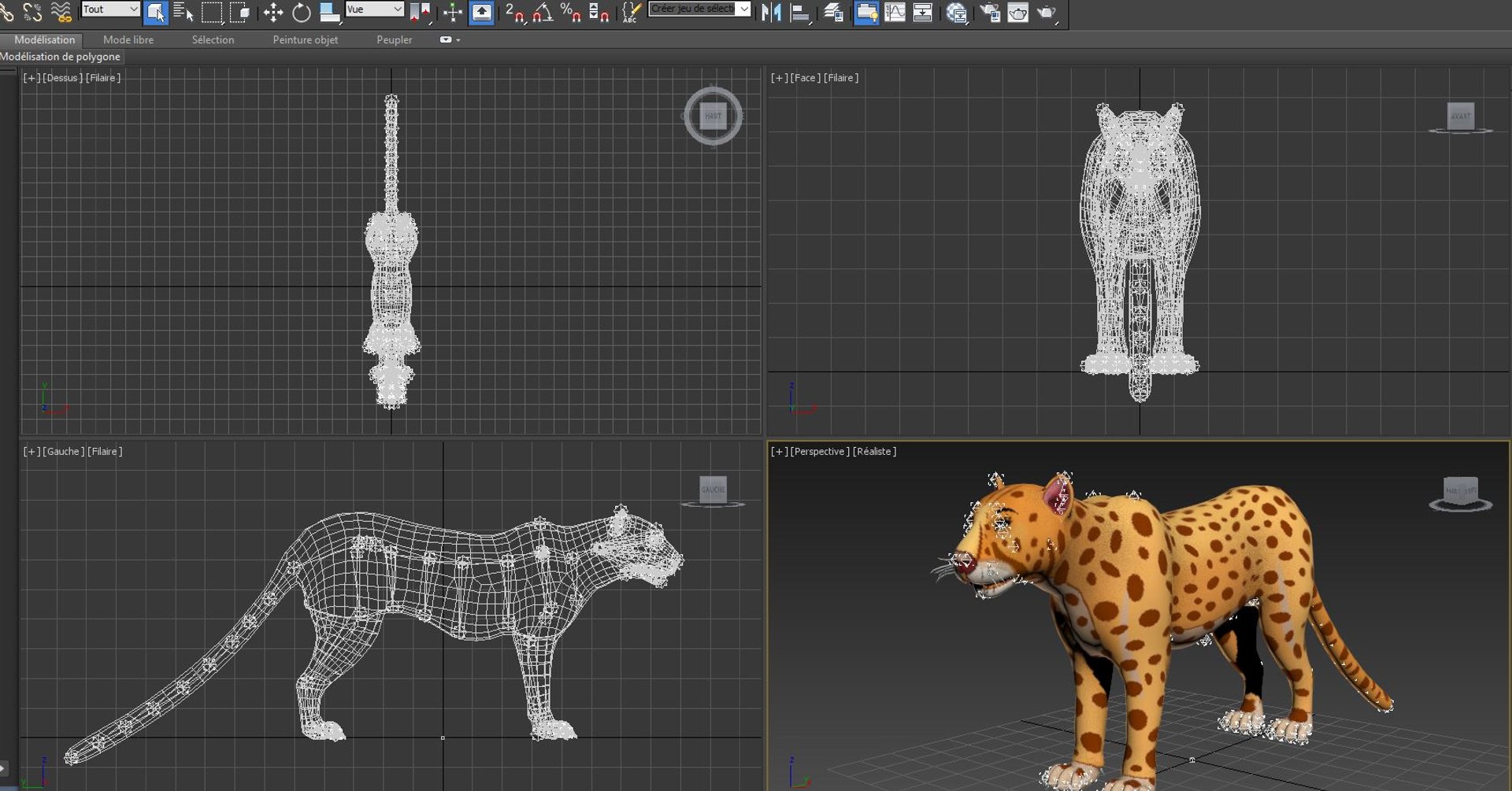 3D Leopard Rigged Model - TurboSquid 1287148